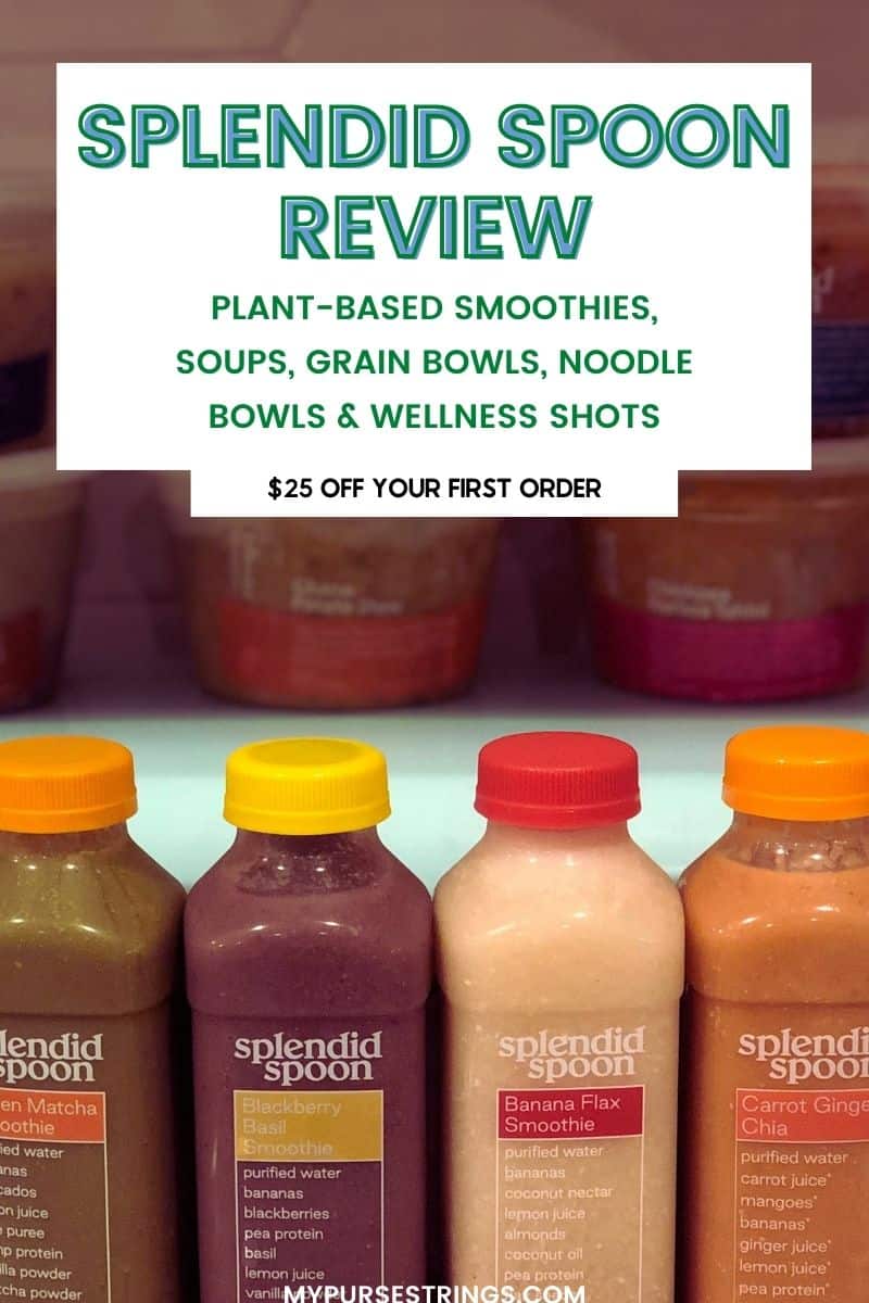 Splendid Spoon Review (2024) - MyPurseStrings.com