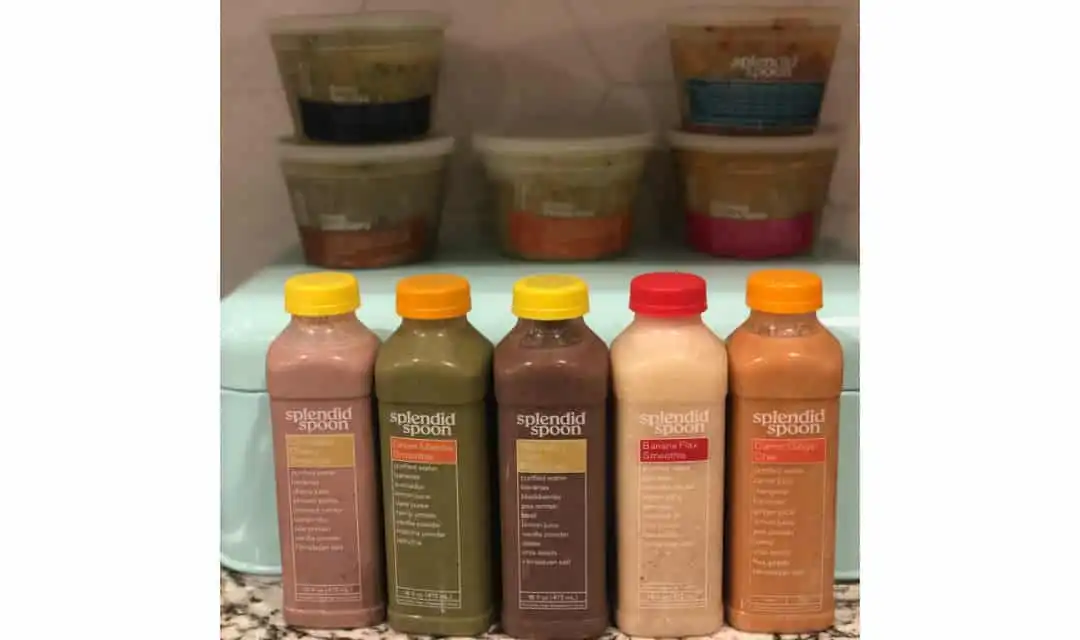 I Tried Splendid Spoon and Daily Harvest: How They Compare ...