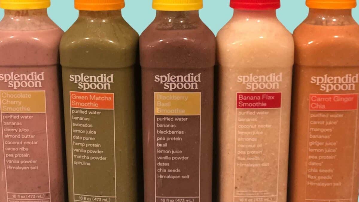 Splendid Spoon Review (2023) - MyPurseStrings.com