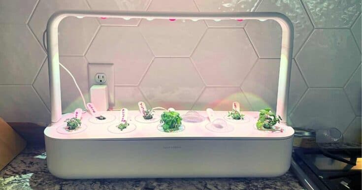 Click and Grow Indoor Smart Garden Review - MyPurseStrings.com