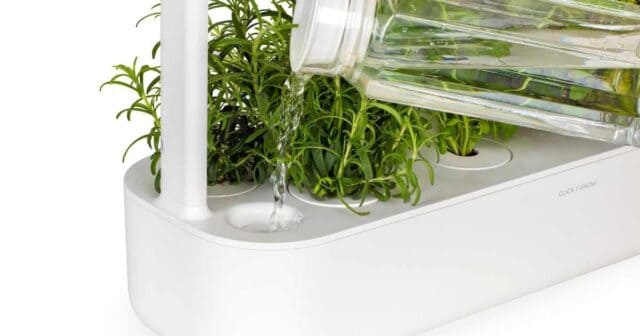 Click and Grow Indoor Smart Garden Review - MyPurseStrings.com