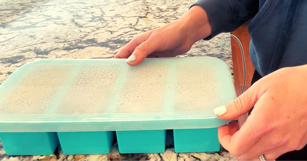 Souper Cubes Review: Meal Prep Must Have? - MyPurseStrings.com