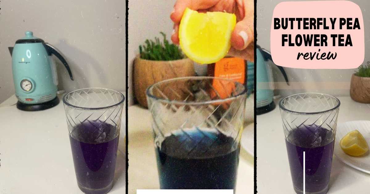 Butterfly Pea Flower Tea: Magical and Healthy - MyPurseStrings.com